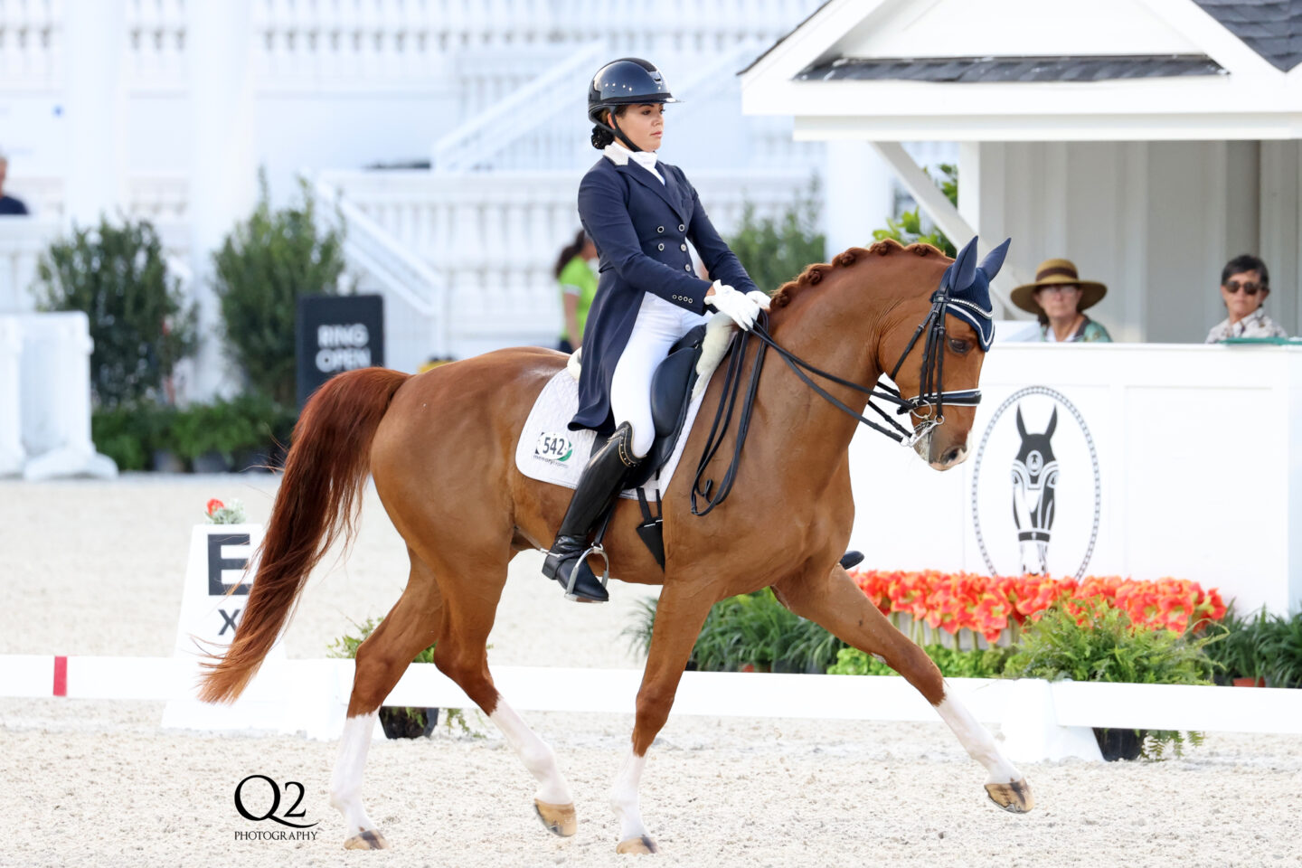 Youth Programs - Equestrian Canada