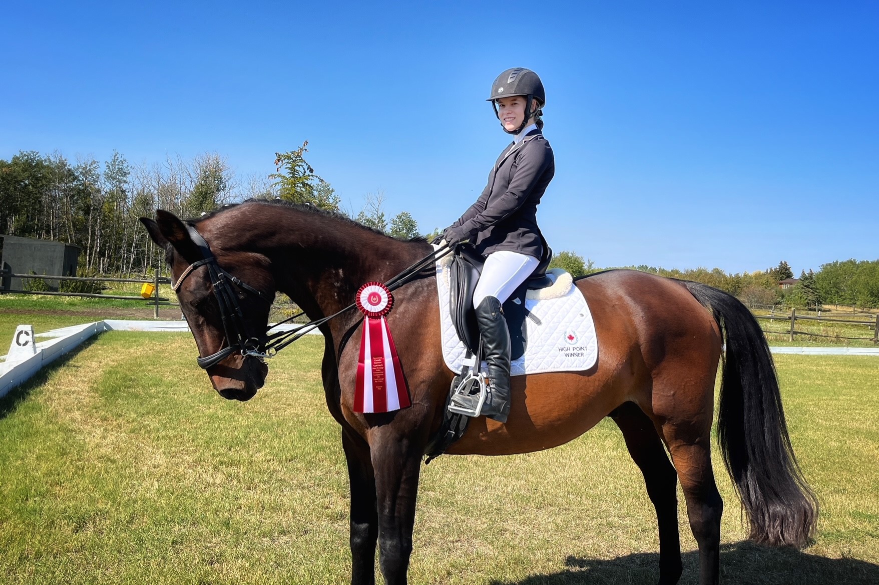 Série de compétitions de paradressage par vidéo : résultats officiels pour la cinquième étape de ...