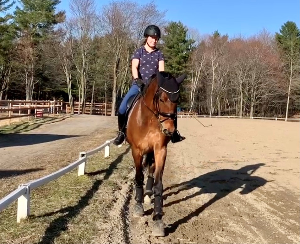 Event Listings - Equestrian Canada