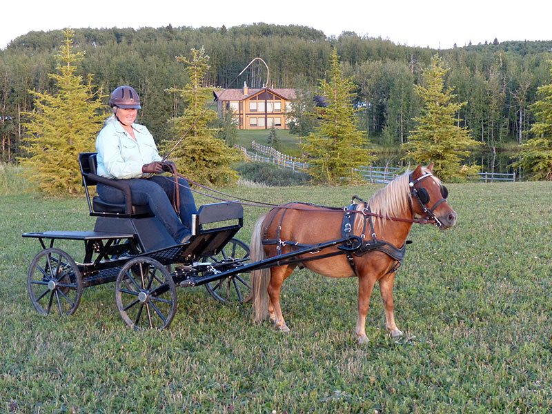 Certified Coach Spotlight: Kathleen Winfield Drives Her Students to ...