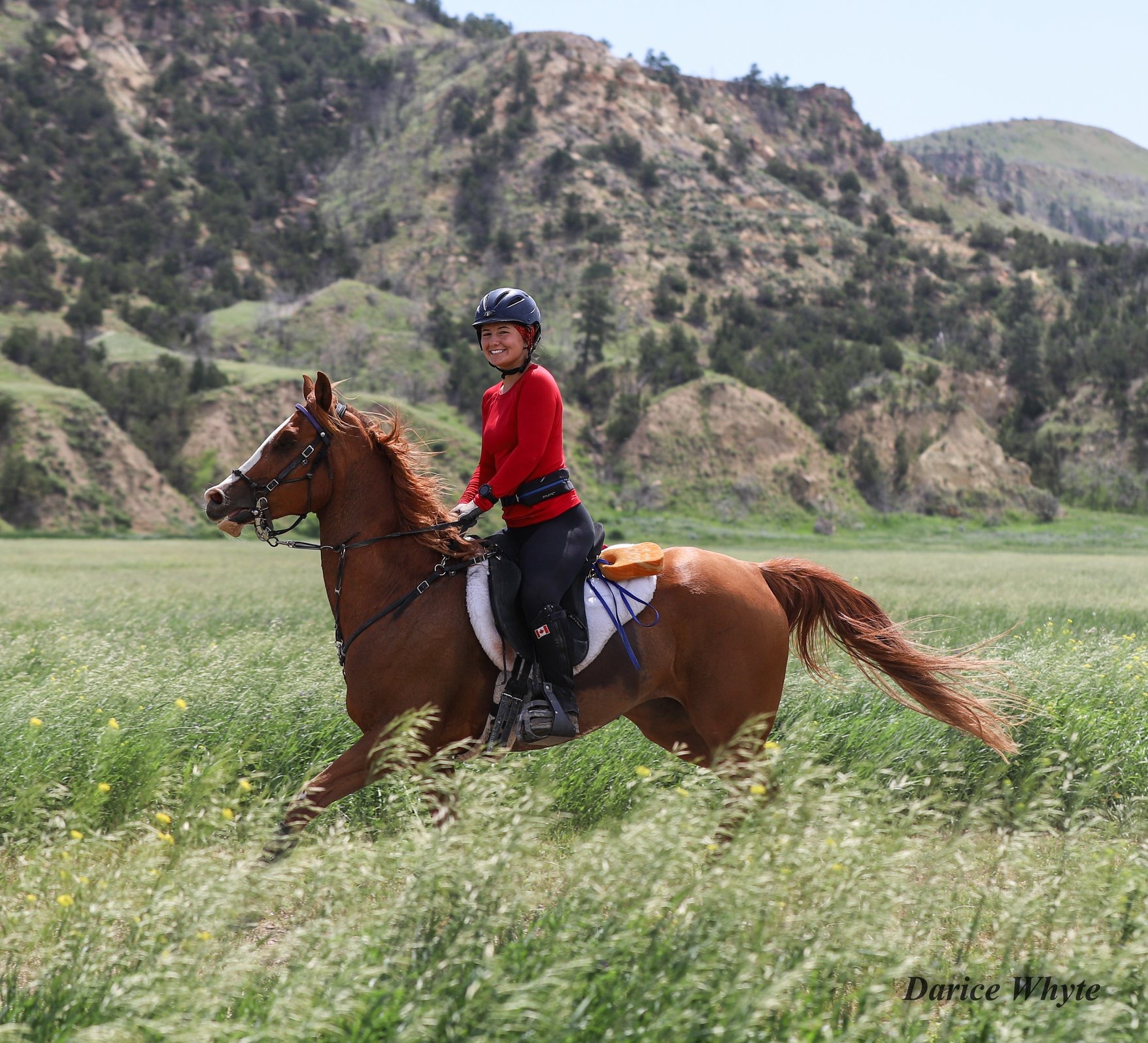 Regard sur l'endurance : 10 choses essentielles que Lexi Vollman a ...