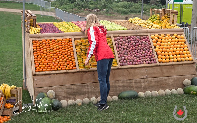 CET on the Go | Cross-Country Course Walks… Now with Fruit ...