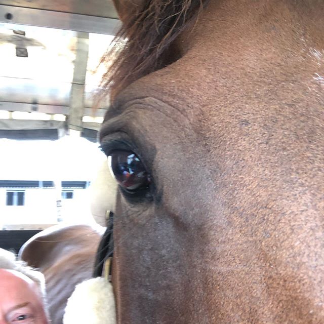 CET on the Go | Tim Dutta Talks Horse Transport to Lima - Equestrian Canada