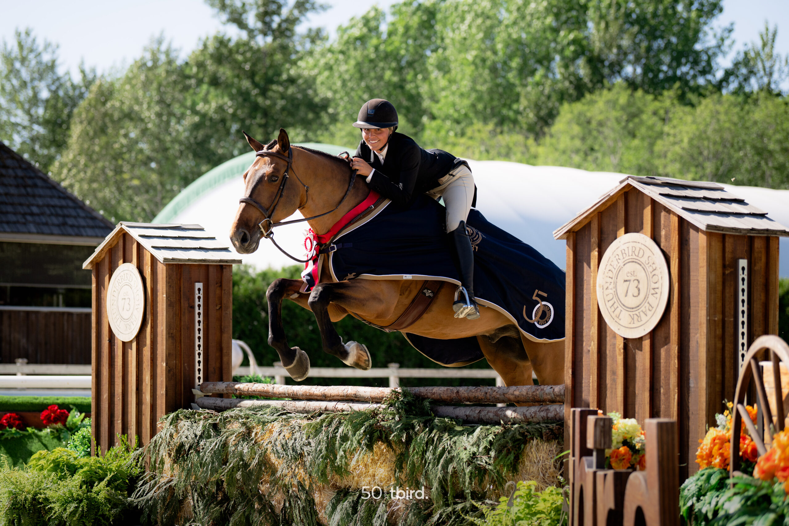 Weekend Highlights June 2-4: A Comeback and a Dream Fulfilled in the ...