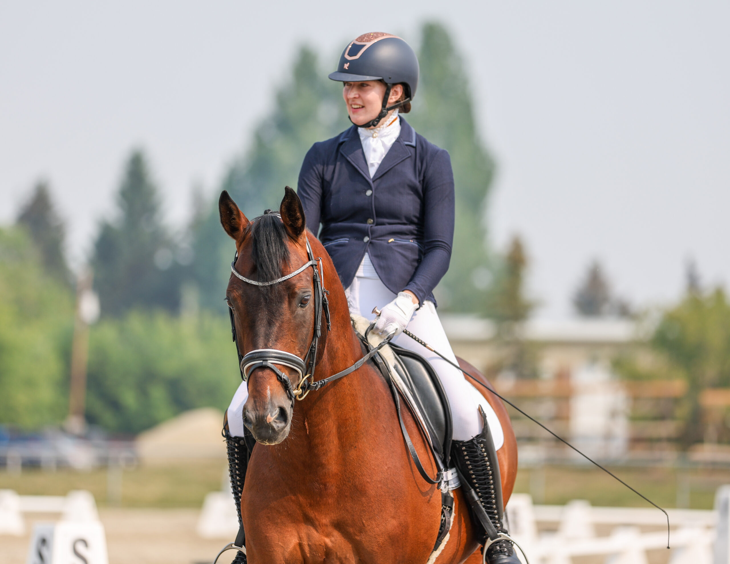 Para-Dressage Video Competition Series: Official Results for Fourth Leg ...