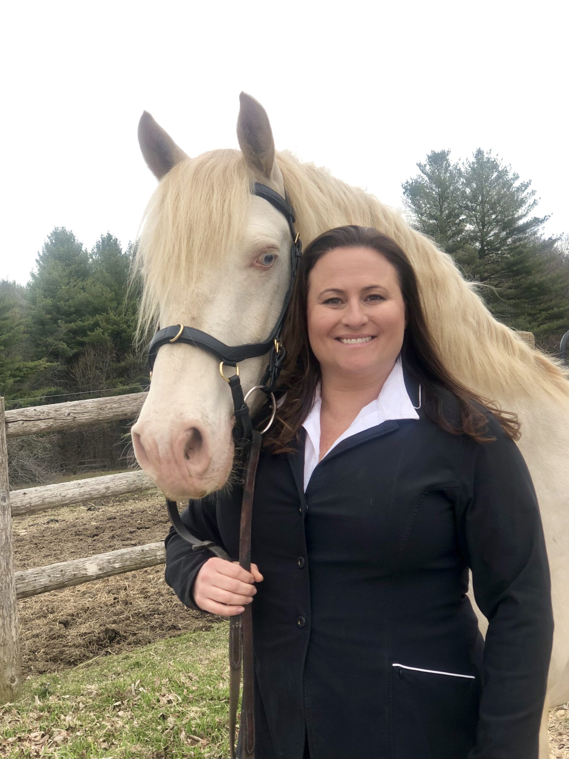 Para-Dressage Video Competition Series: Official Results for Third Leg ...