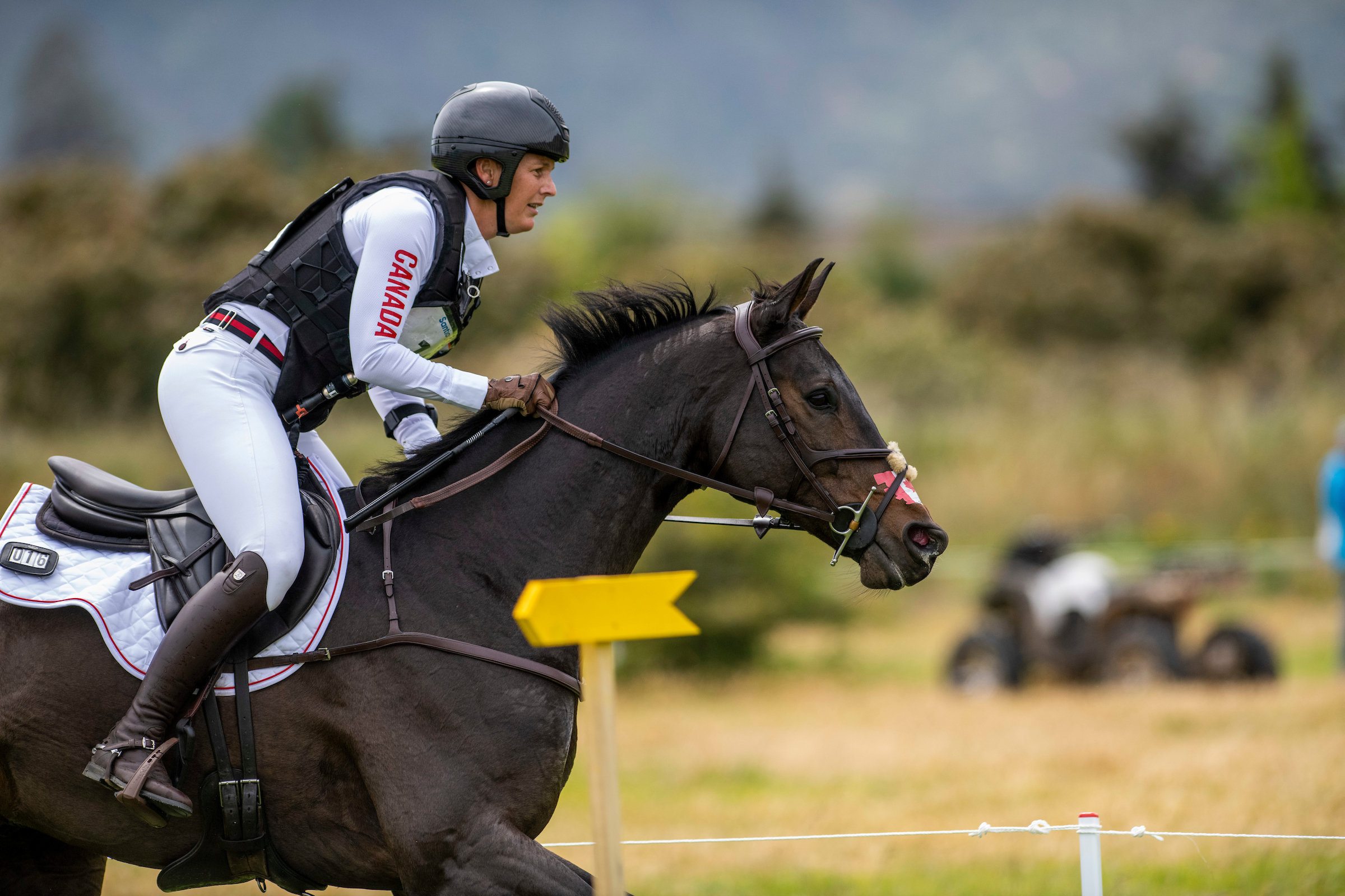 Eventing High Performance - Equestrian Canada