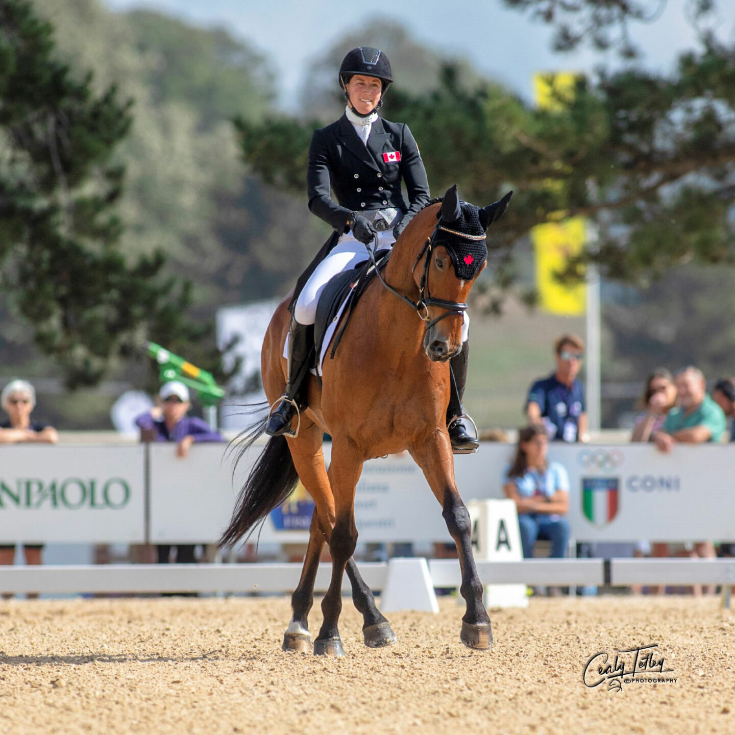 Eventing High Performance - Equestrian Canada