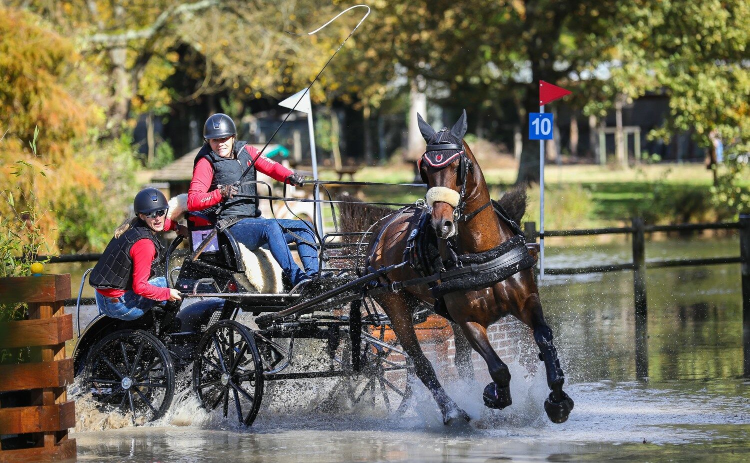FEI Athletes - Equestrian Canada
