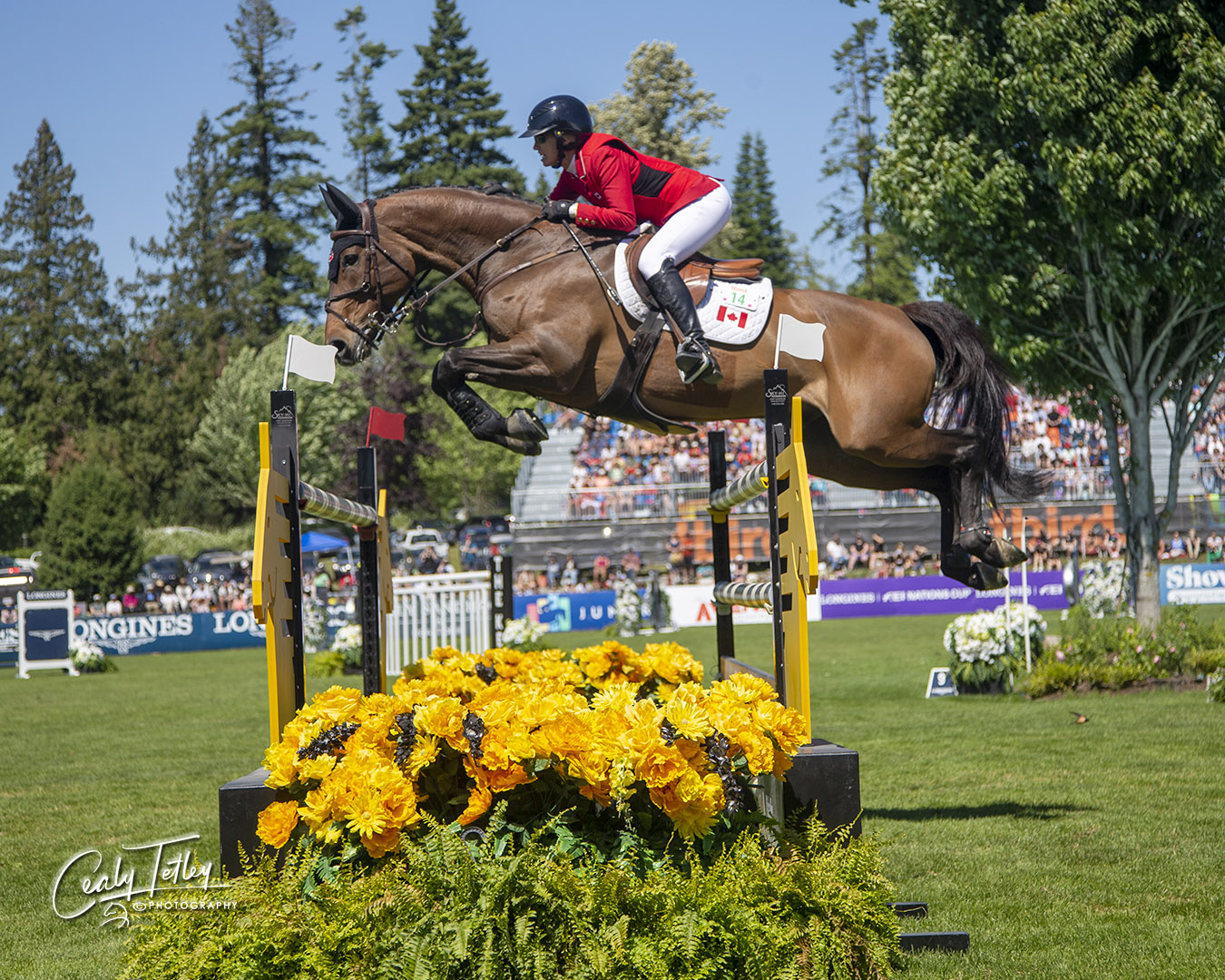 Santiago 2023: Strong Start for the Canadian Show Jumping Team ...