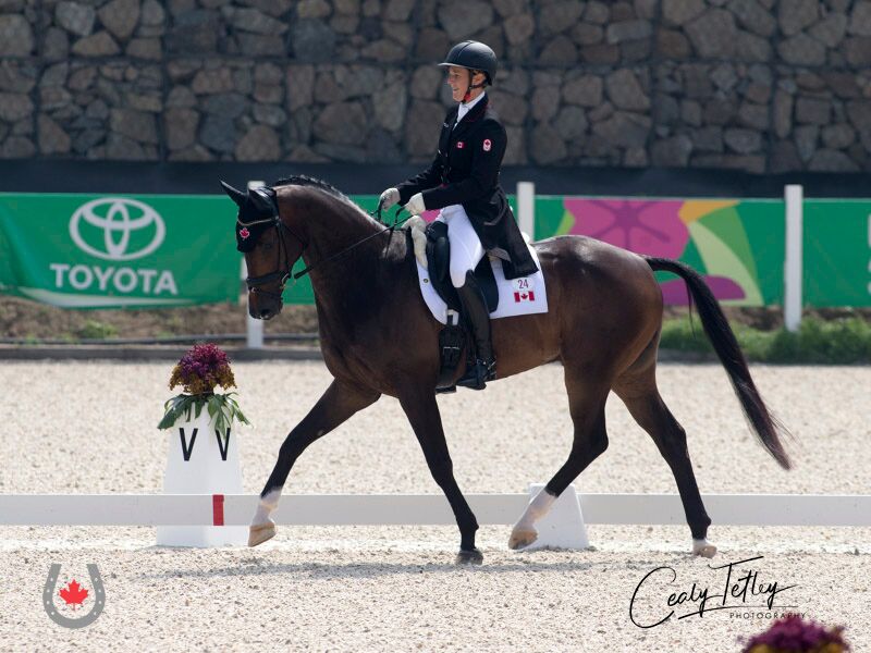 Canadian Eventing Team Sitting Second in the Tokyo Race after Dressage ...