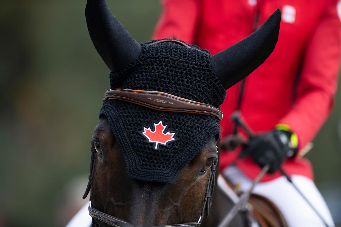 ABOUT US - Equestrian Canada