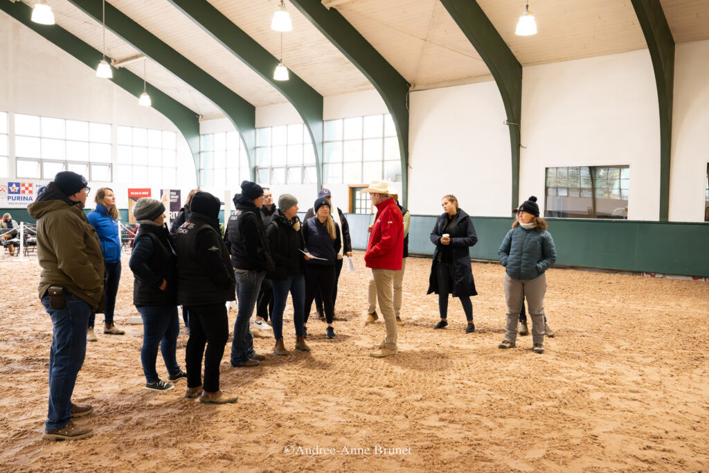 Coaching Clinics - Equestrian Canada