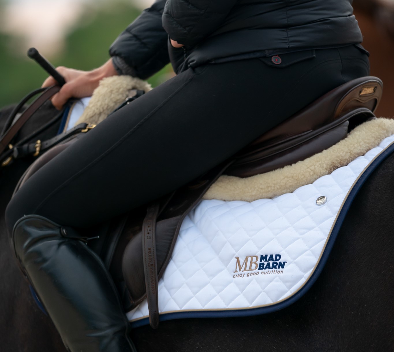 Mad Barn and Equestrian Canada Forge Innovative Sport Science and ...
