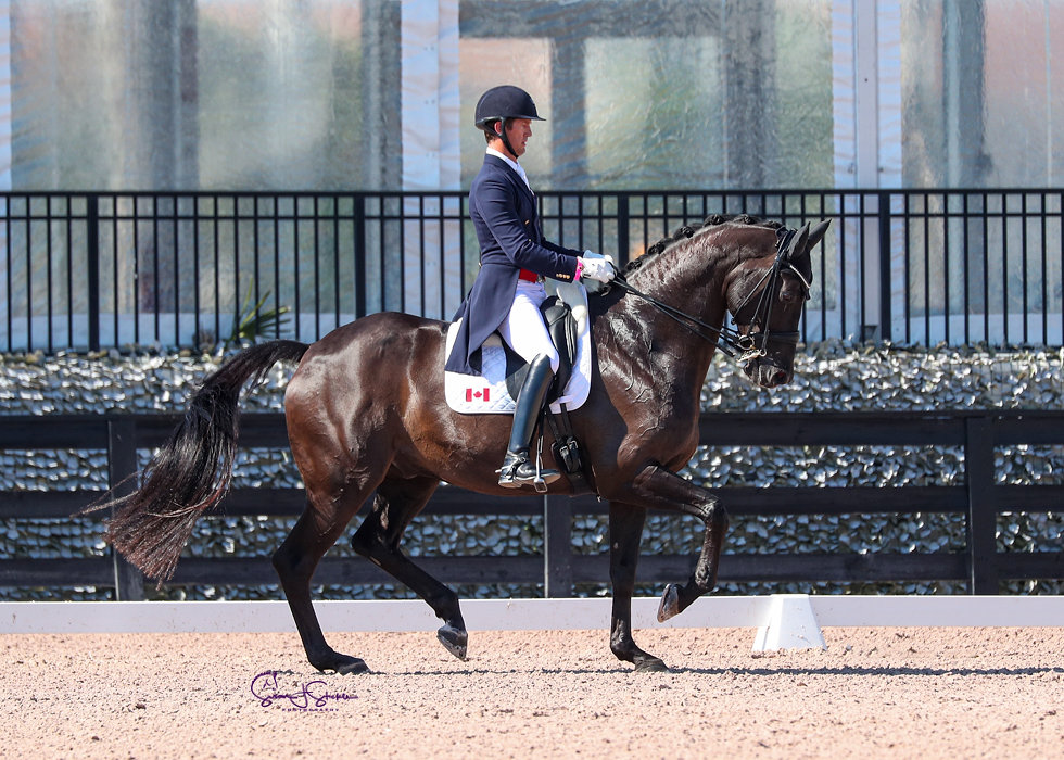 Dressage High Performance - Equestrian Canada
