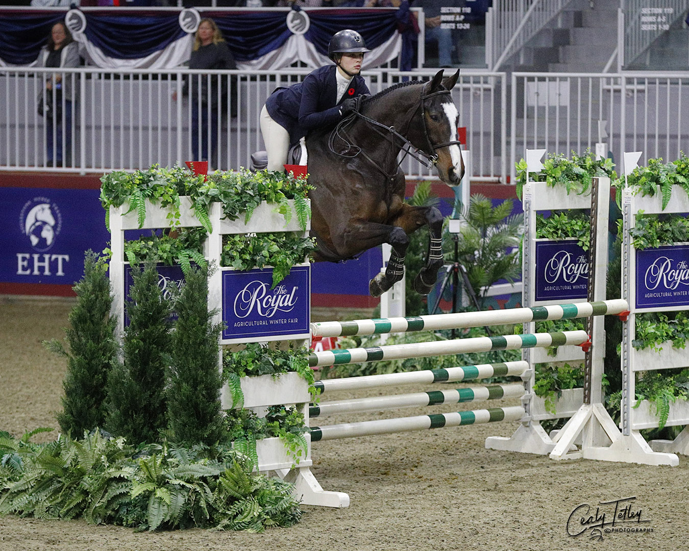 National Rankings - Equestrian Canada