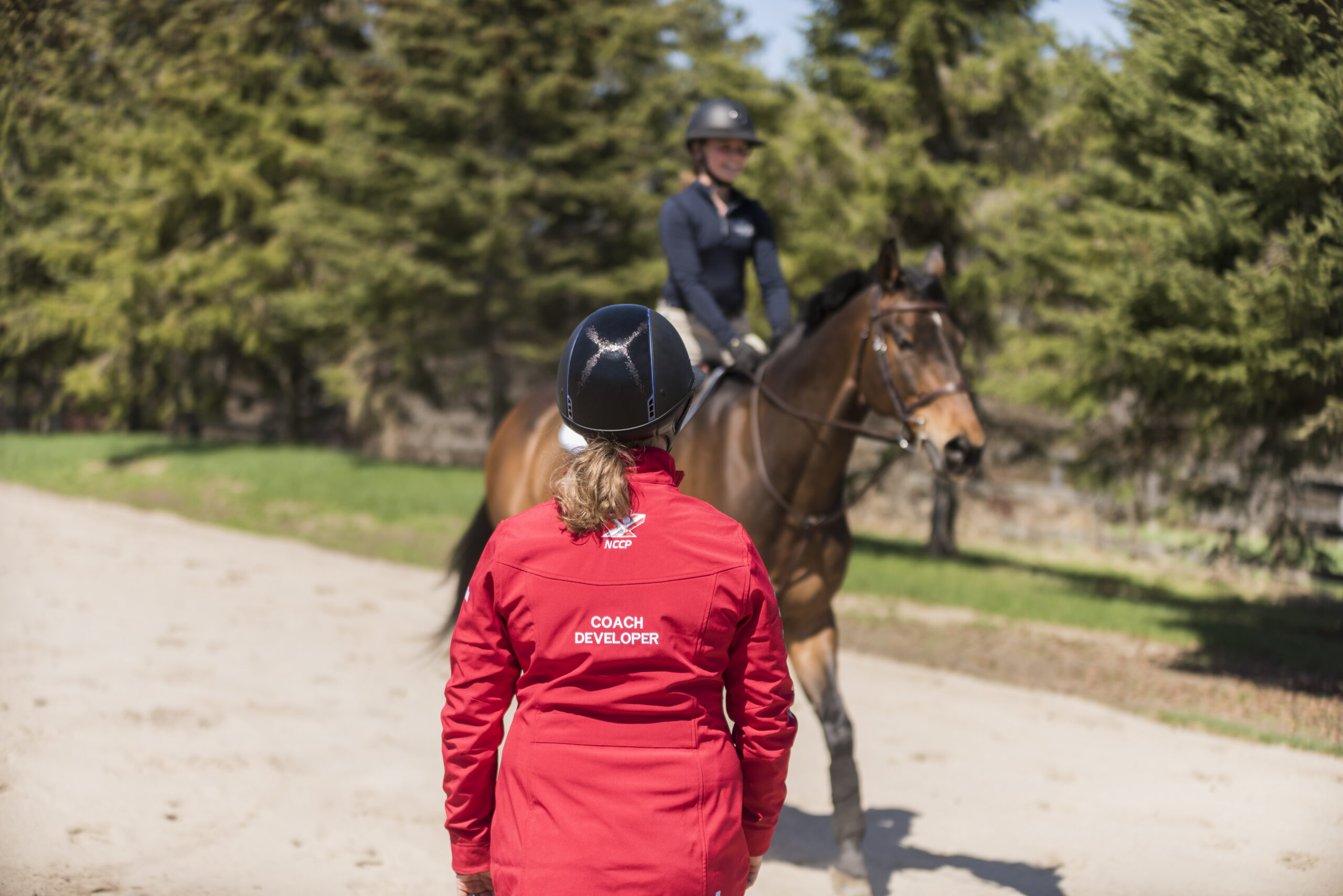 COACHING SPOTLIGHT: Important Updates for EC Coach Status 2024 ...