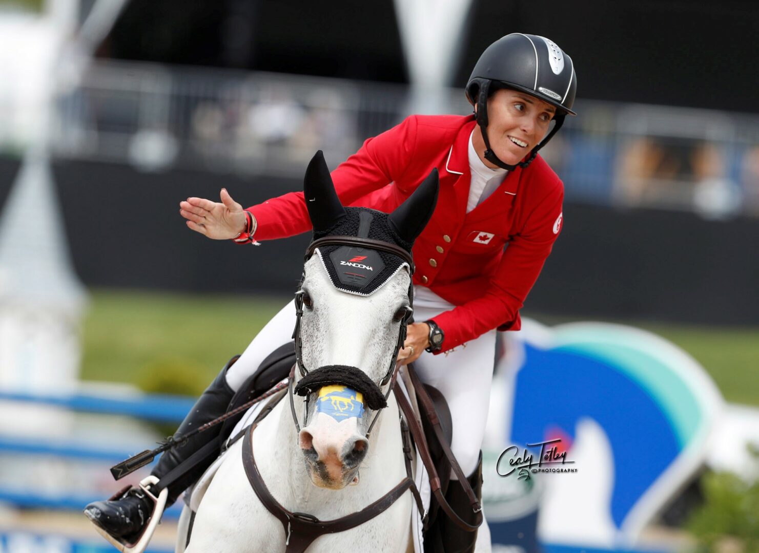 Canada Équestre, c'est qui? - Equestrian Canada