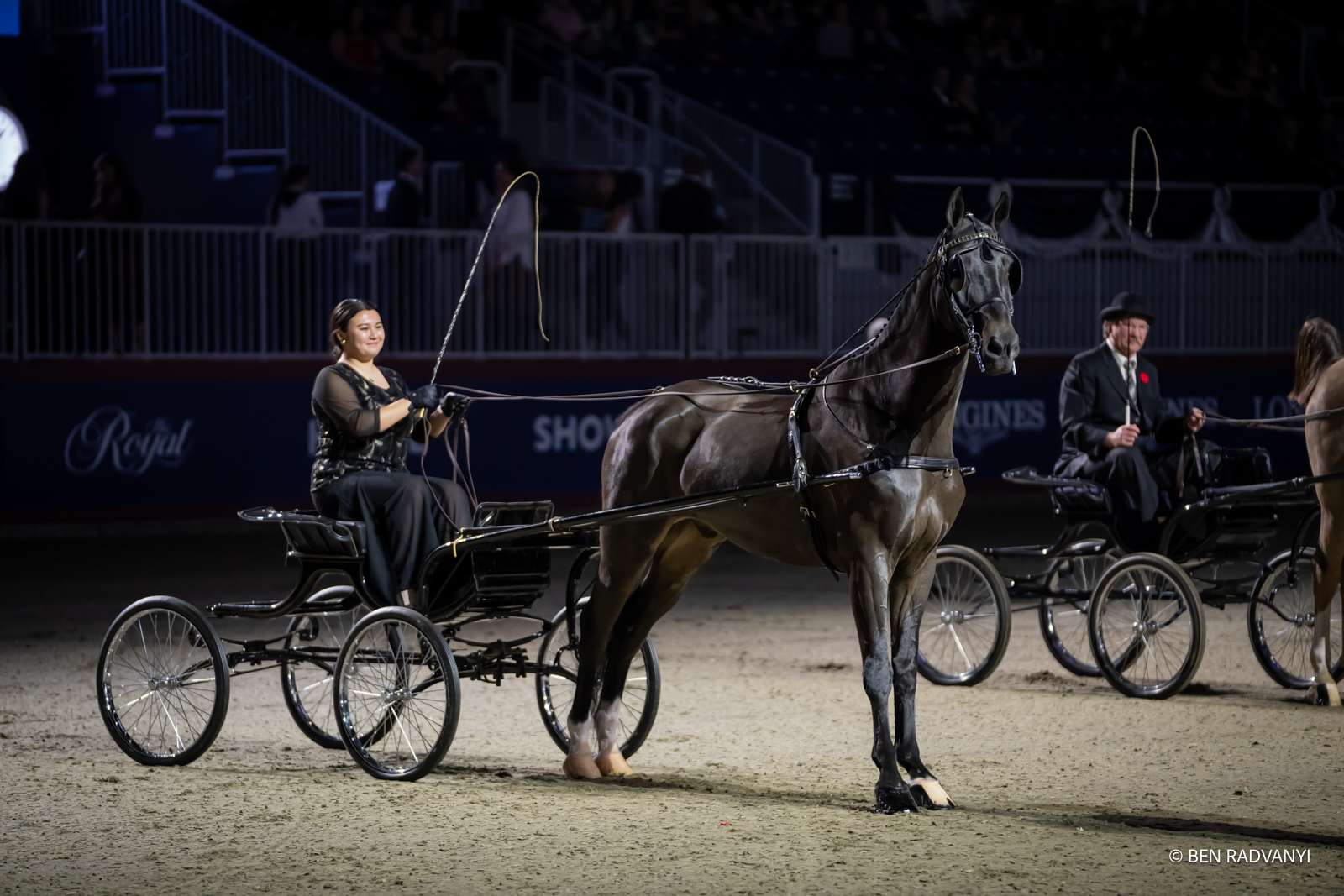 Hackney - Equestrian Canada
