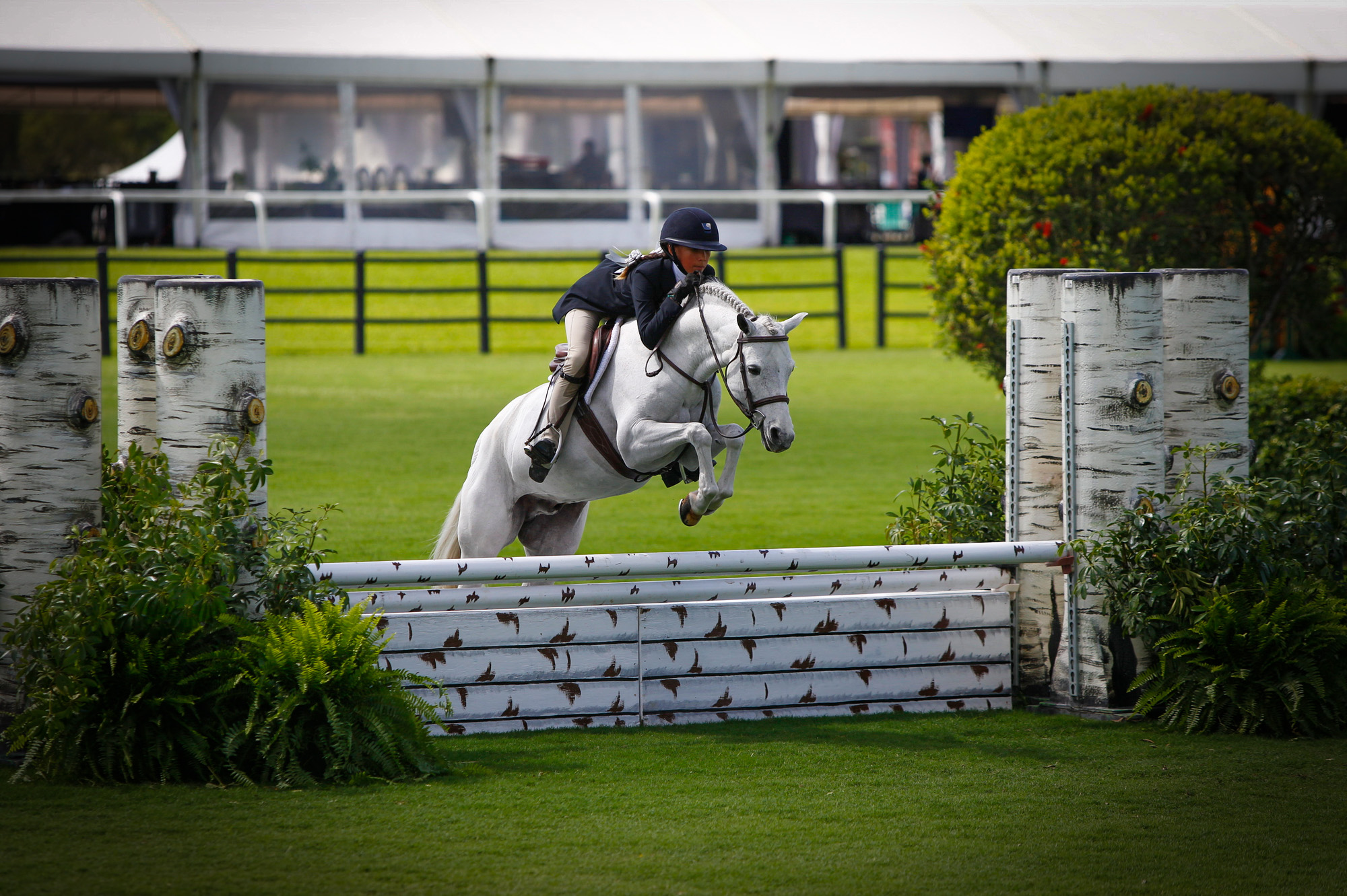 Hunter - Equestrian Canada