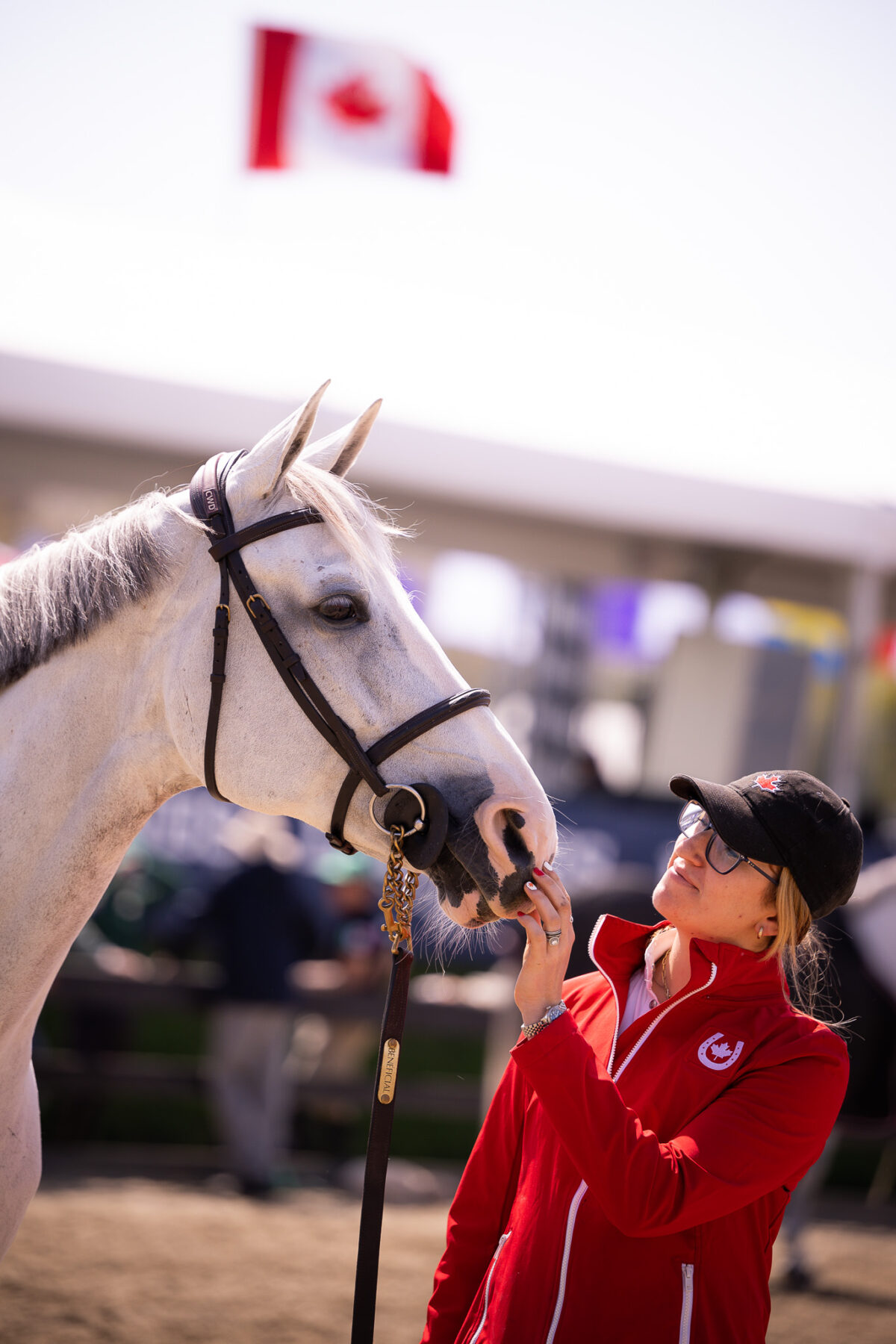 Canada Équestre, c'est qui? - Equestrian Canada