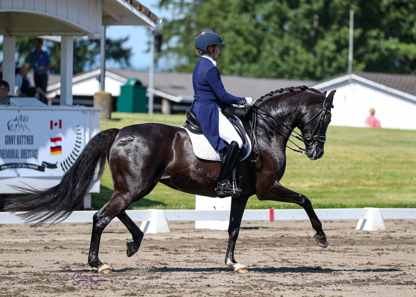 Events and Rankings - Equestrian Canada