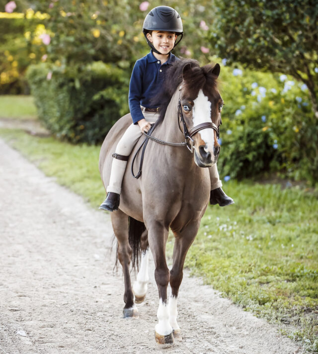 Long-Term Equestrian Development Model - Equestrian Canada