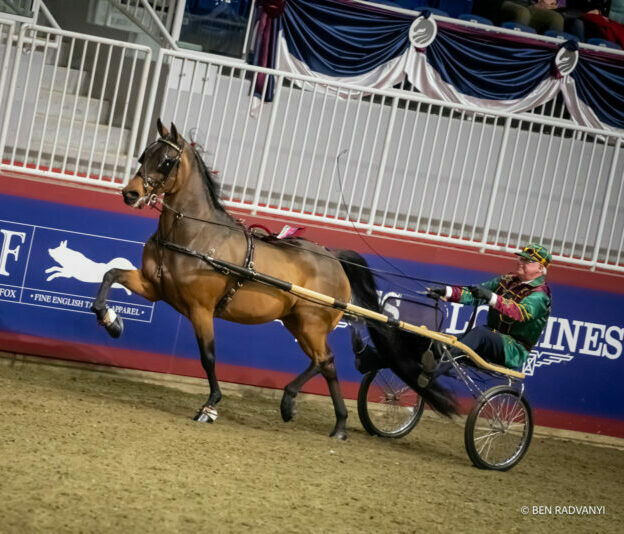 Road Horse - Equestrian Canada