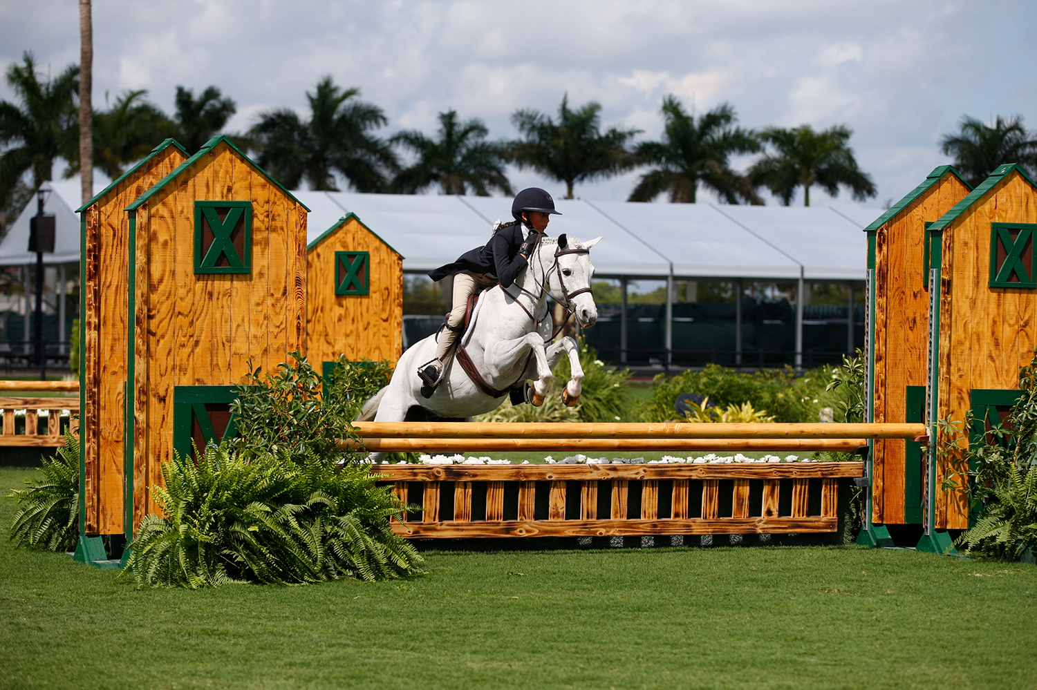 Benefits and Discounts: Breaking Down the USEF Reciprocal Agreement ...