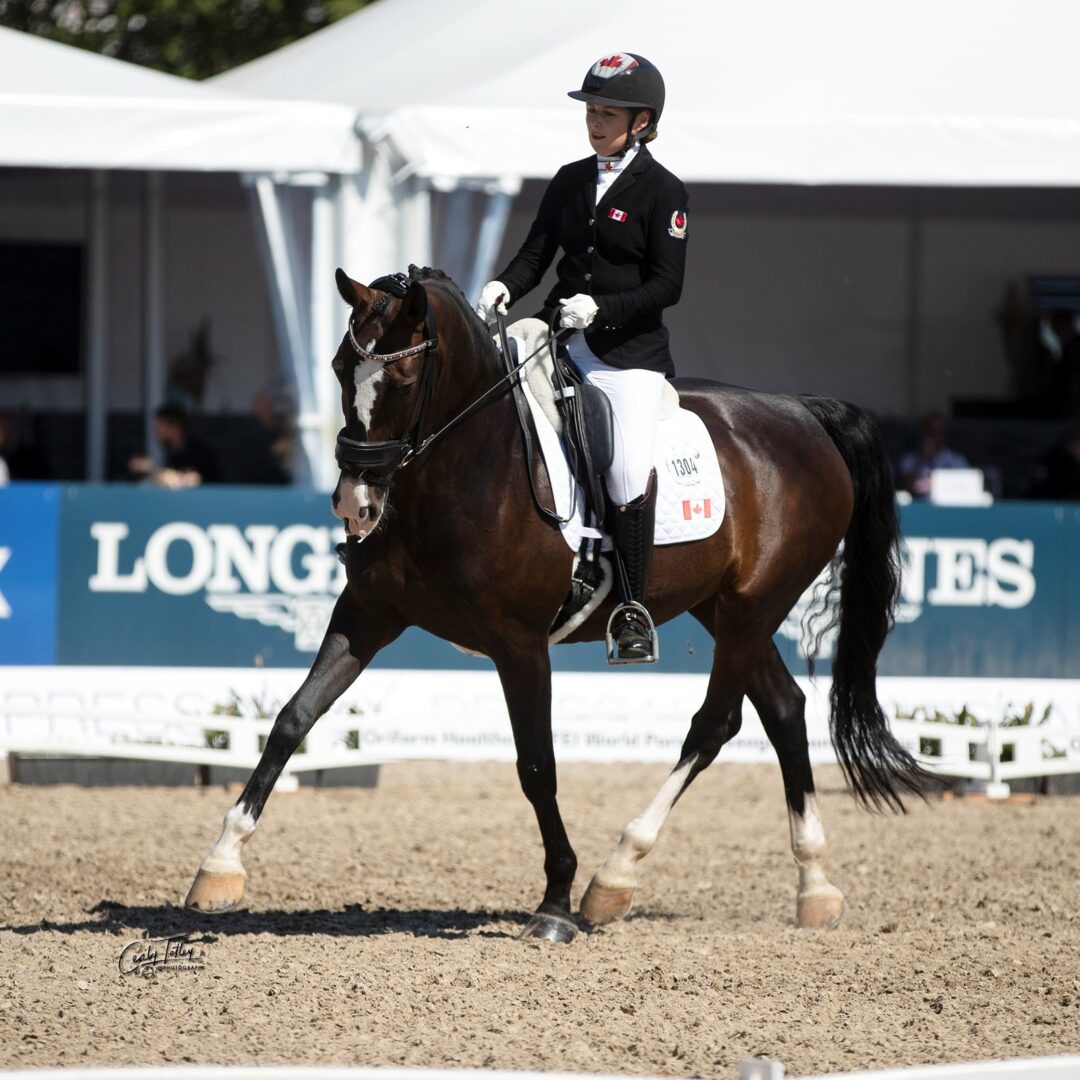 Canada Équestre, c'est qui? - Equestrian Canada