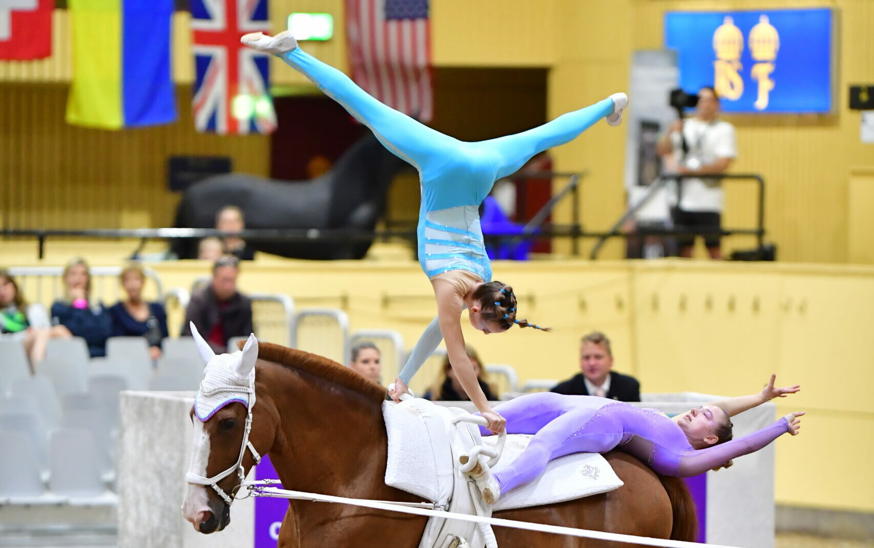 Vaulting - Equestrian Canada