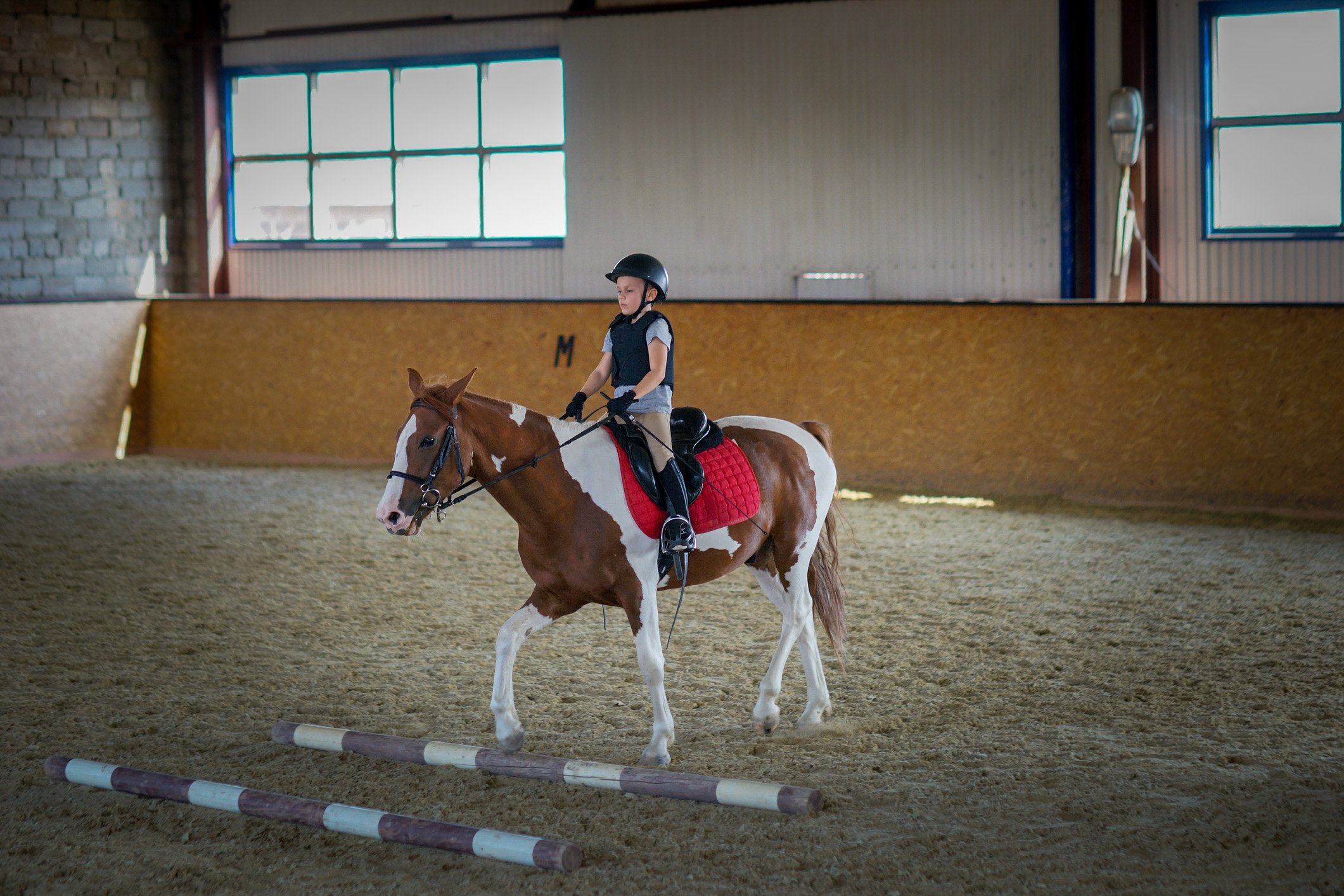 Learn to Ride/Drive - Equestrian Canada