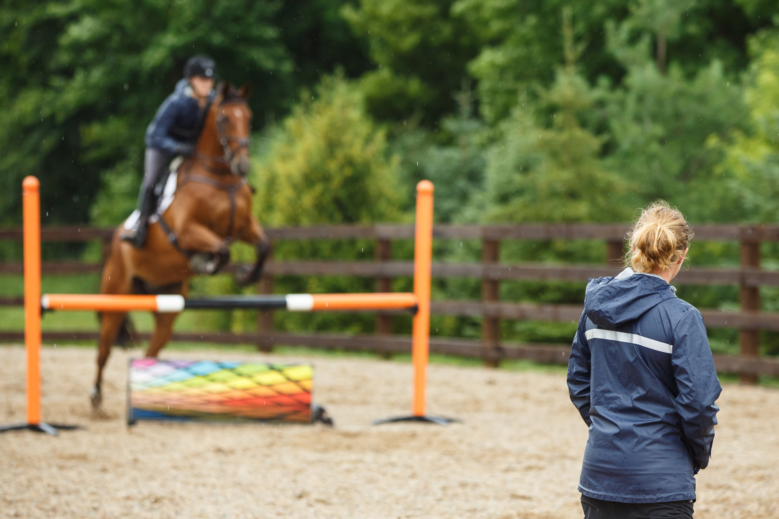 Find a Coach - Equestrian Canada