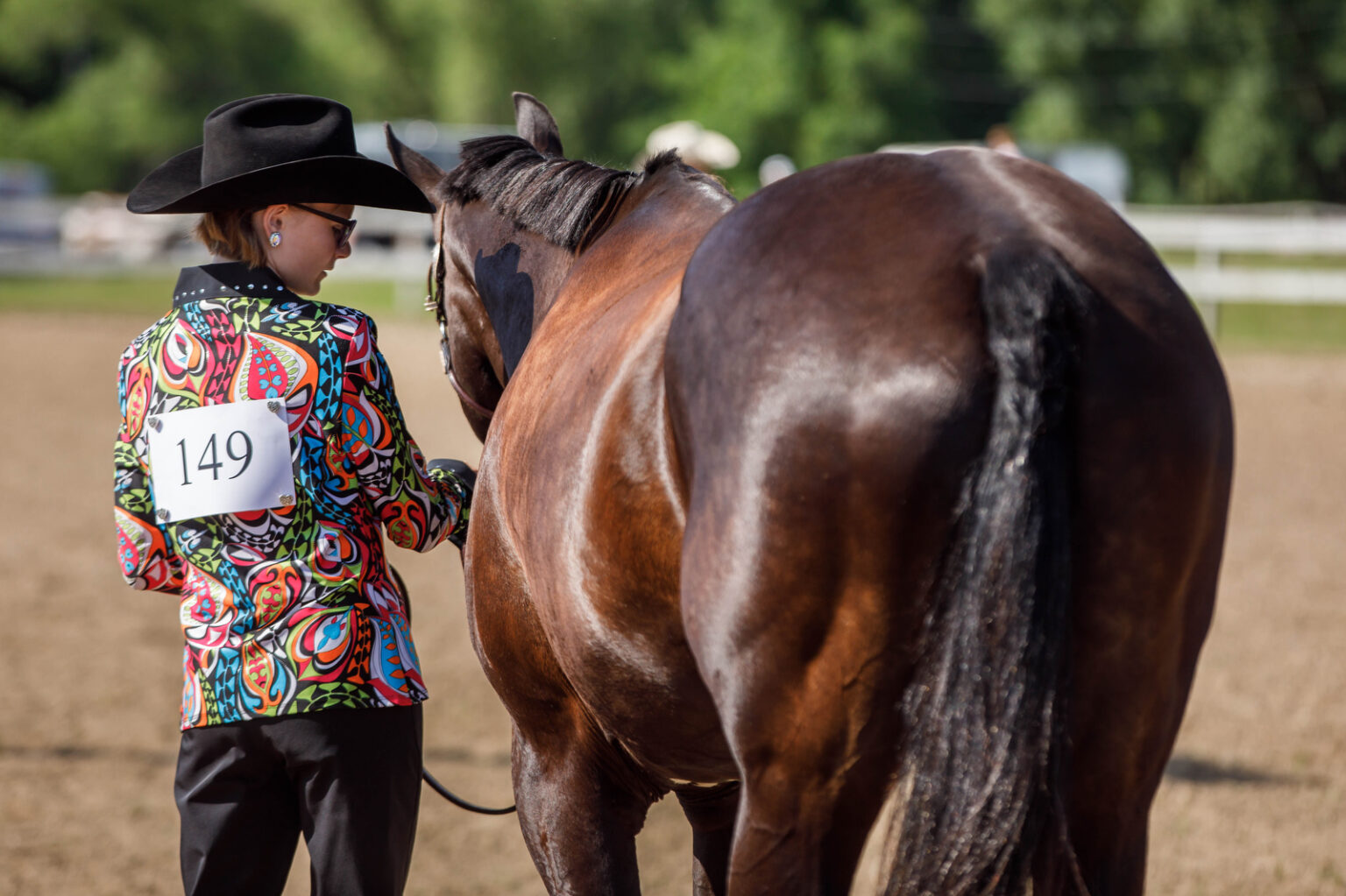 Long-Term Equestrian Development Model - Equestrian Canada