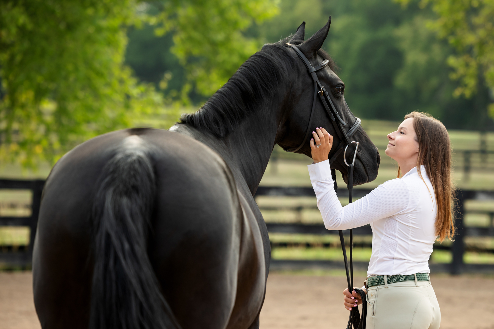 Amateur Status - Equestrian Canada