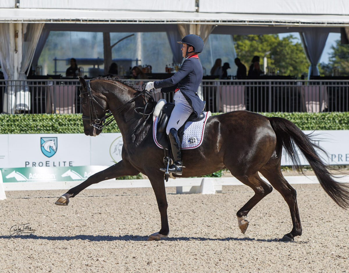 'Eh'questrian Highlights - Insipiring Results by Canadian Athletes to ...