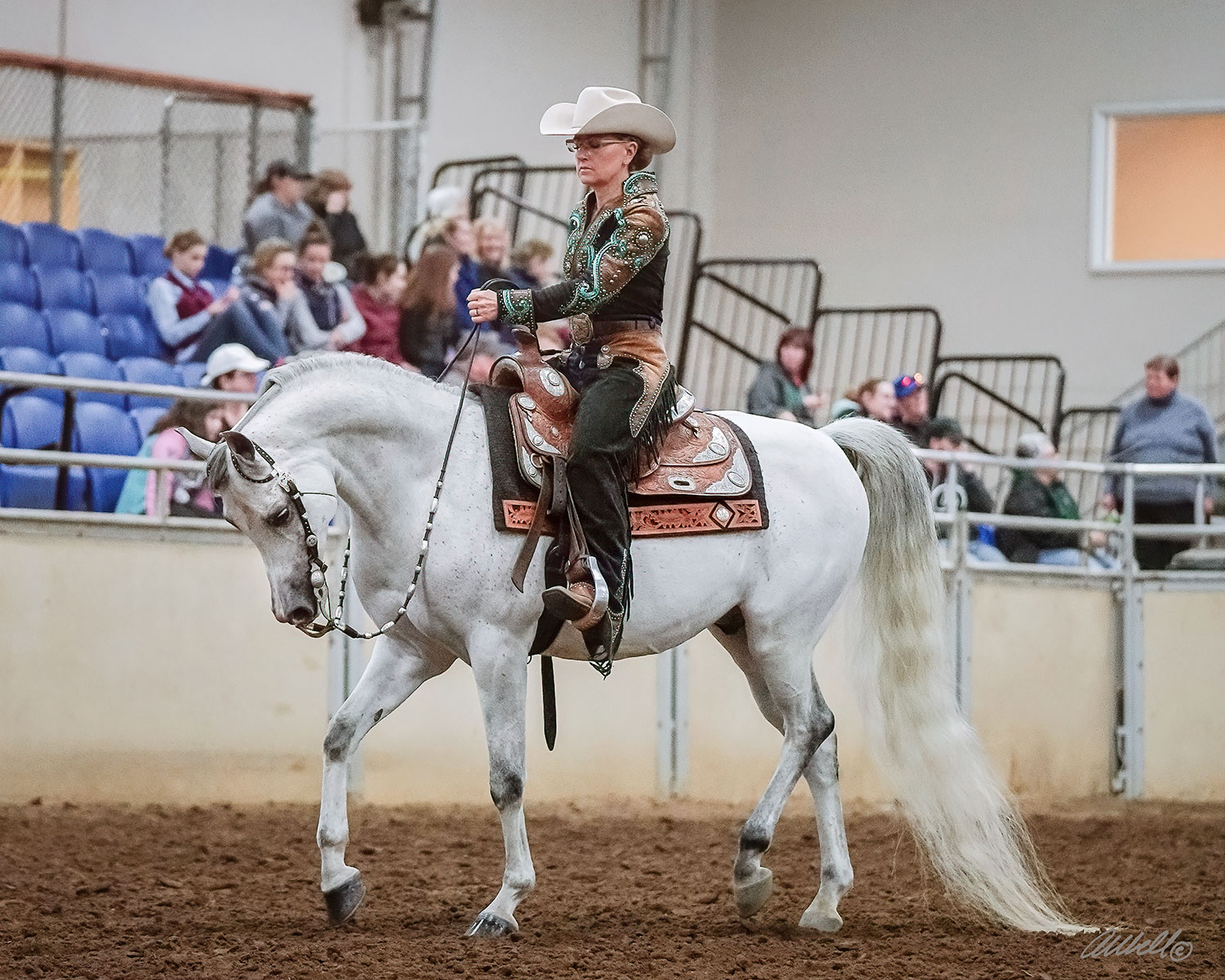 COMMUNITY CORNER: A Season of Family Friendly All-Breed Fun Kicks off ...