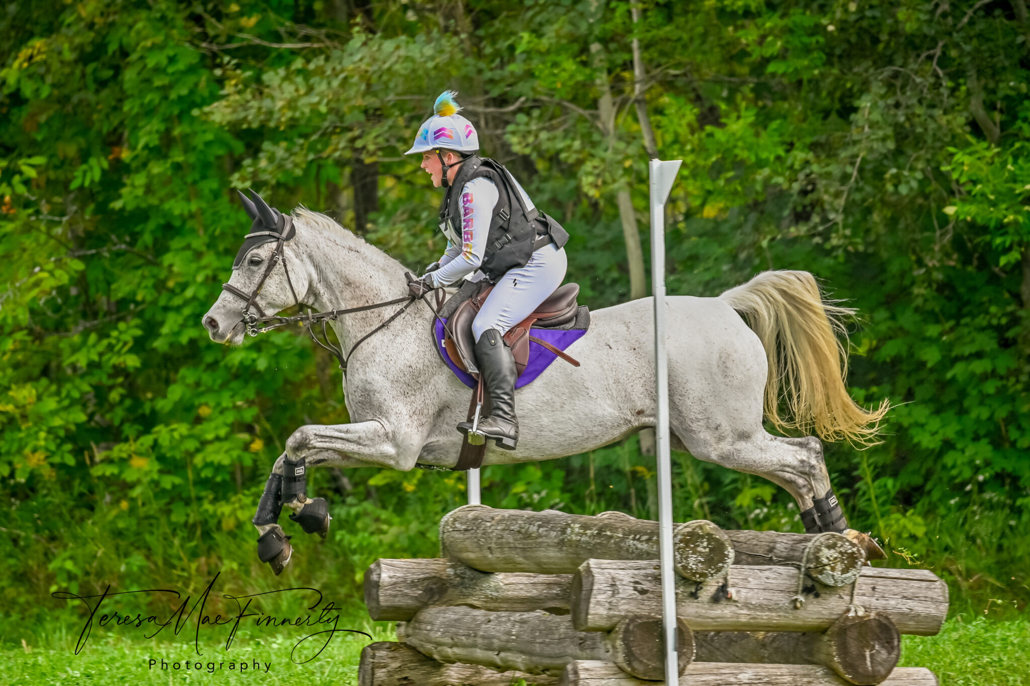 National Rankings Launch for Eventing, Dressage and Para-Dressage ...