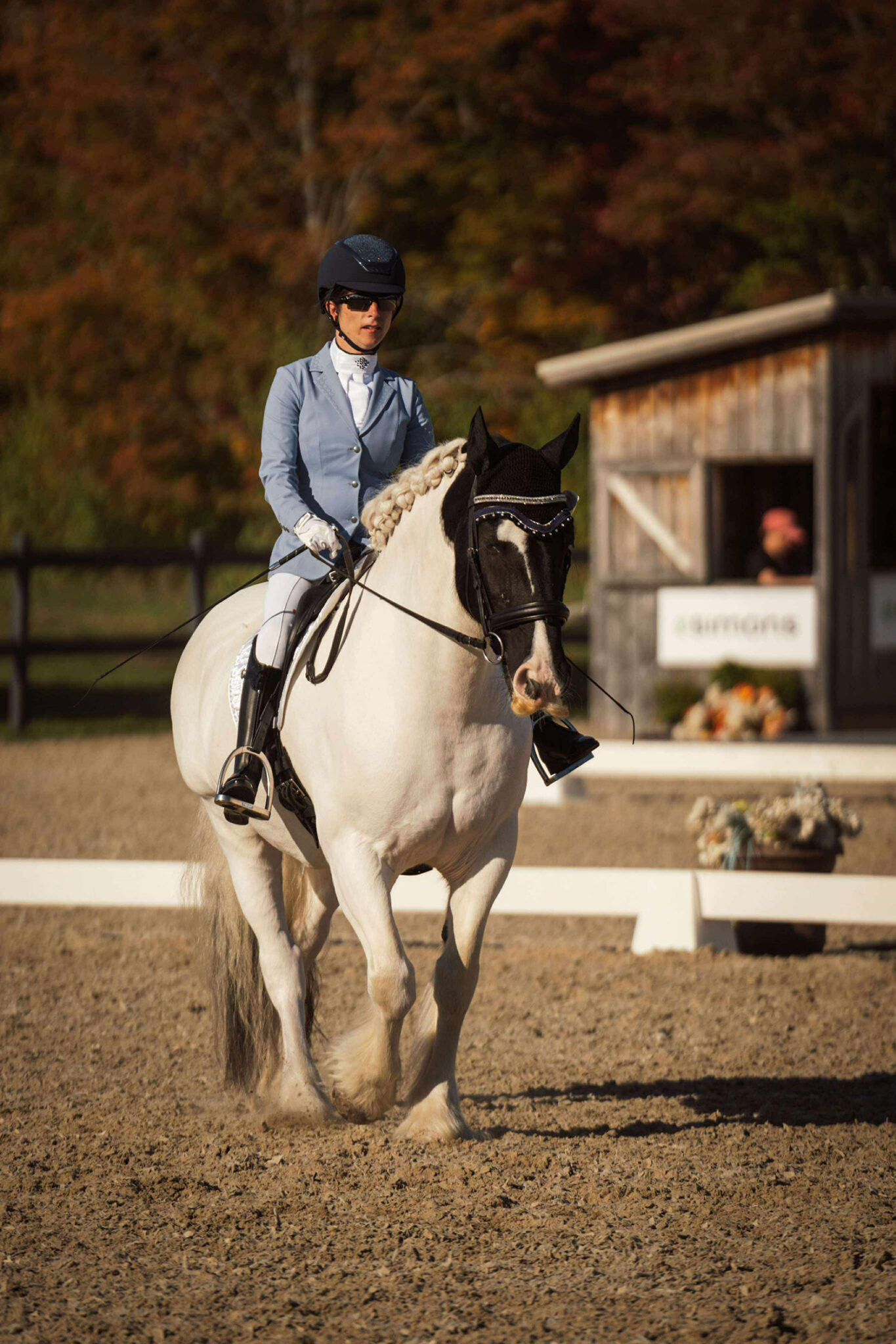 Equestrian Canada Announces 2026 National Dressage and Para Dressage ...