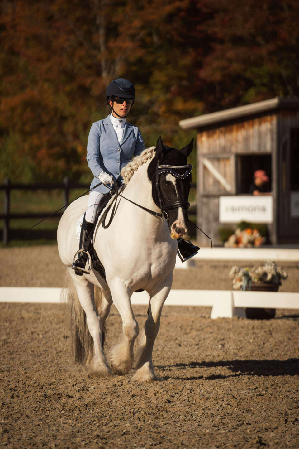 Equestrian Canada Announces 2026 National Dressage and Para Dressage ...