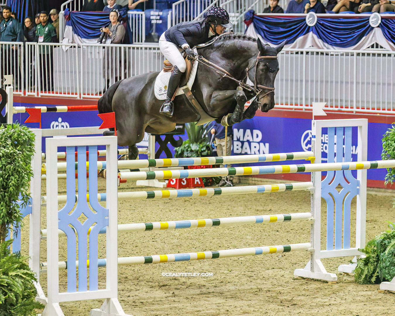 Amy Millar Crowned 2024 Henry Equestrian Canadian Show Jumping Champion ...