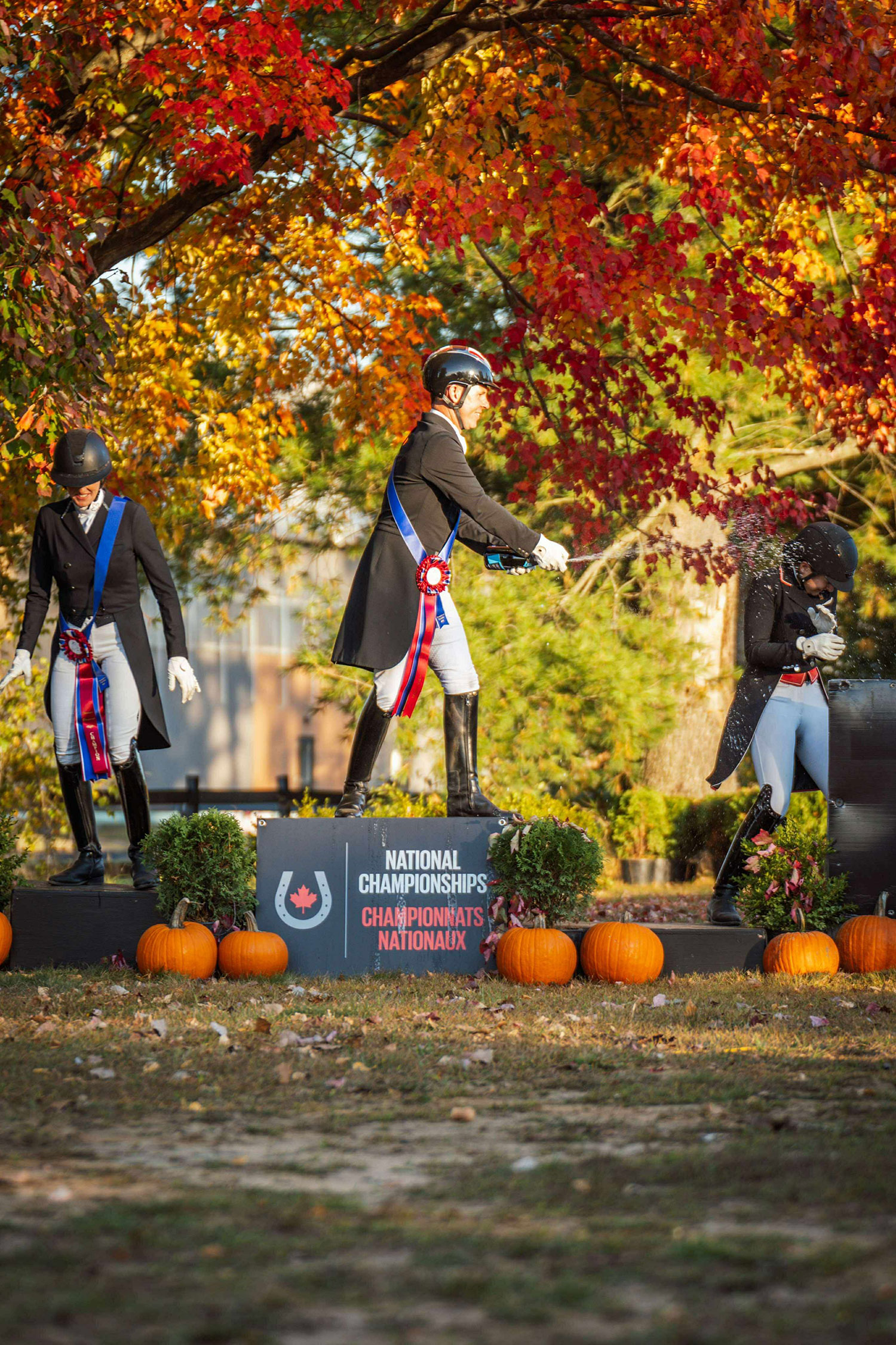 Equestrian Canada Announces 2026 National Dressage and Para Dressage ...