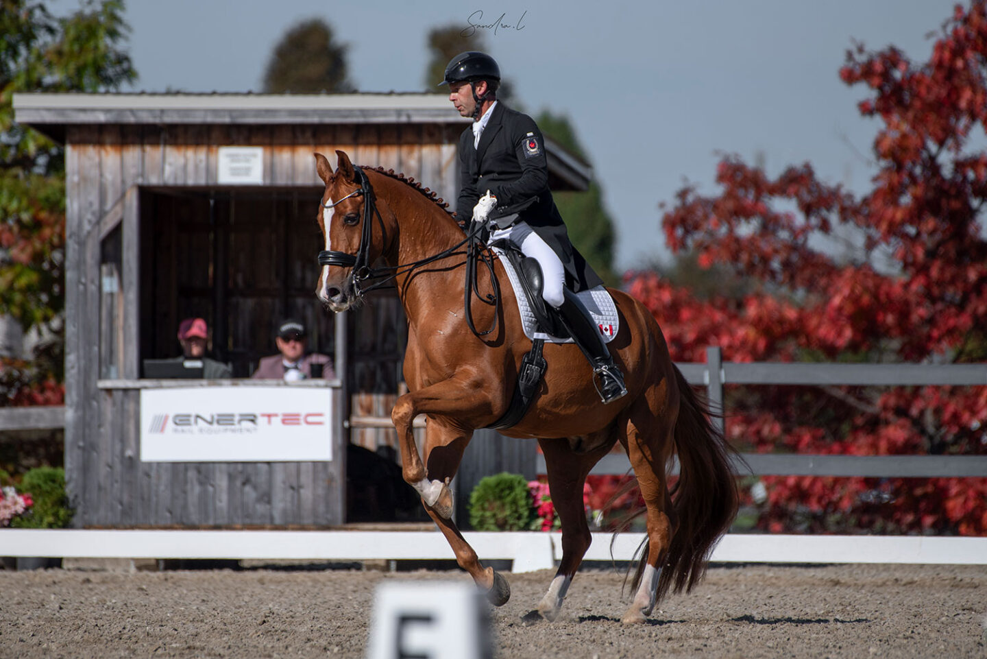 James Irwin Awarded the 2026 Brosda Olympic Bursary - Equestrian Canada