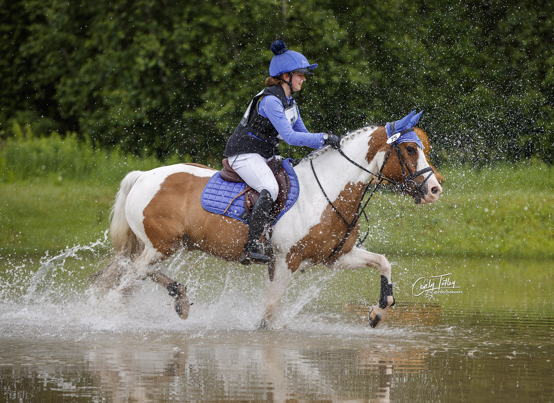 Happy Holidays from Equestrian Canada - Equestrian Canada
