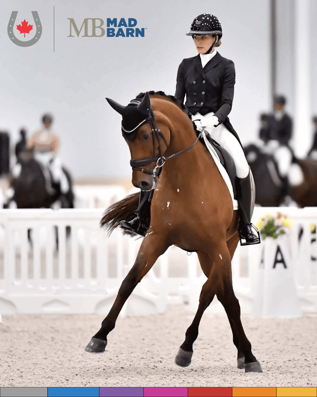 Megan Shea: Compassionate Leadership in Elite Dressage - Equestrian Canada