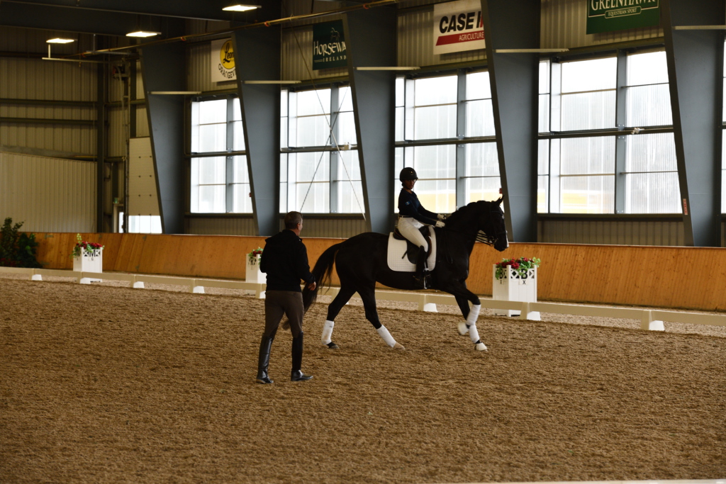 Robert Dover Wowed the Crowd at The 2019 Dressage Levy Performance ...