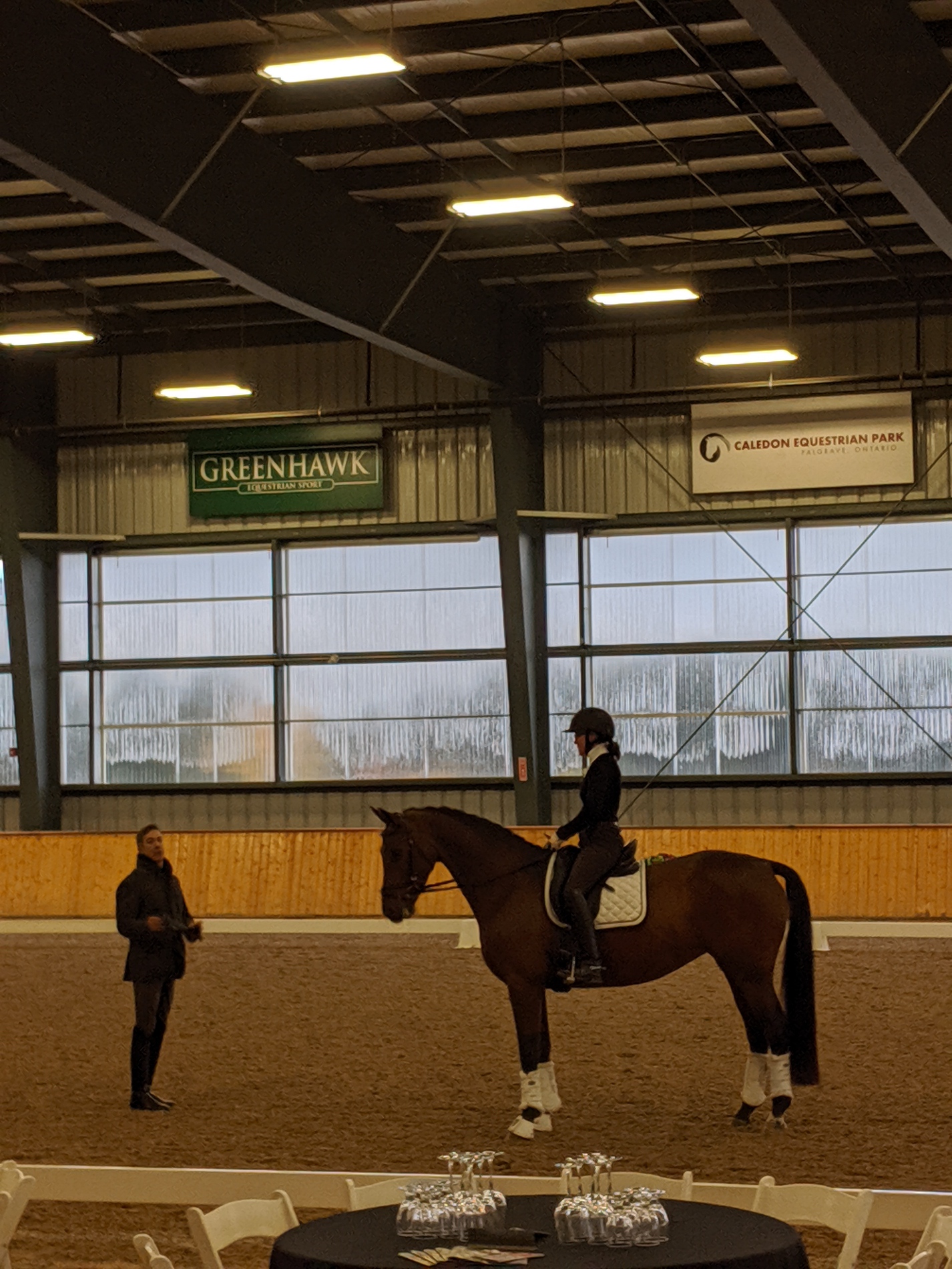 Robert Dover Wowed the Crowd at The 2019 Dressage Levy Performance ...