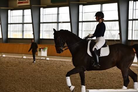 Robert Dover Wowed the Crowd at The 2019 Dressage Levy Performance ...