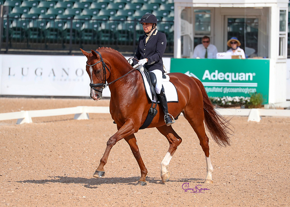 Seven Reasons Canadian Para-Dressage Athletes Were in Seventh Heaven at ...