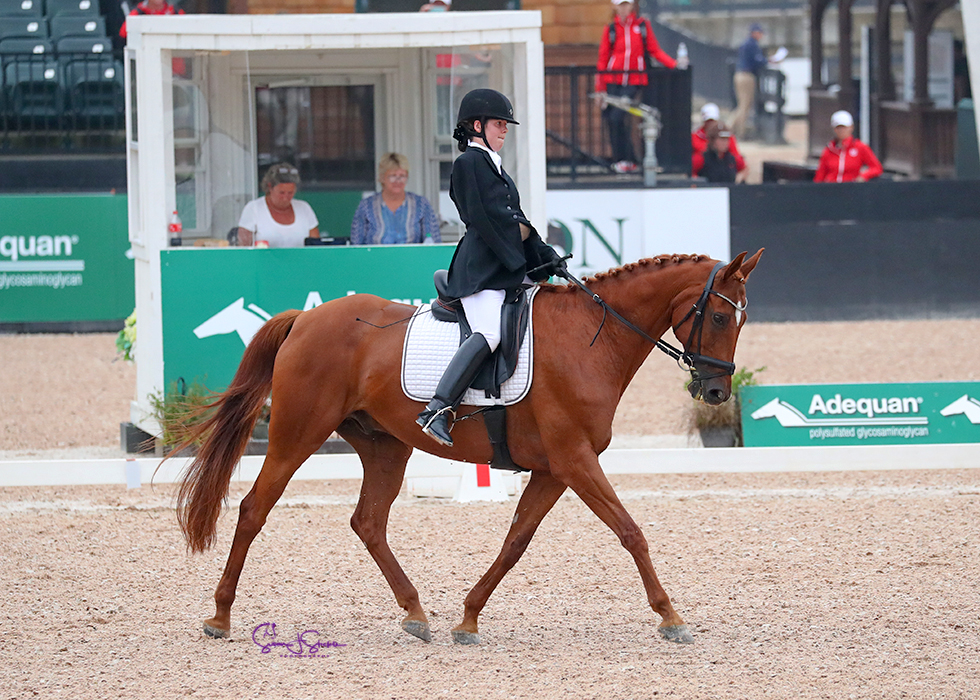 Seven Reasons Canadian Para-Dressage Athletes Were in Seventh Heaven at ...